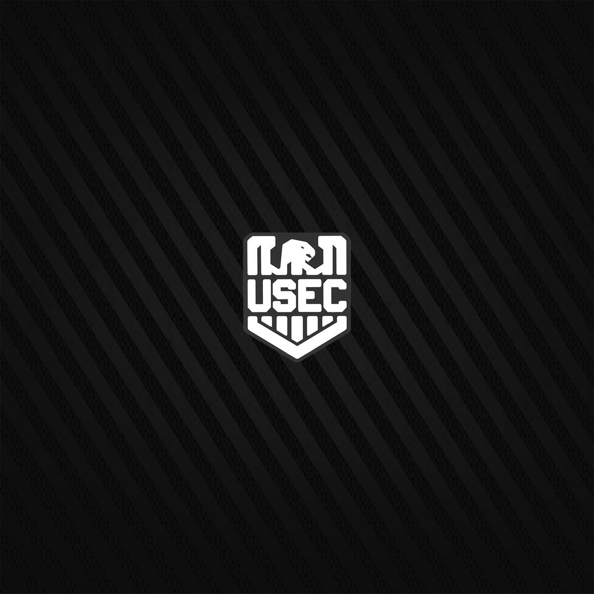 "USEC" PMC Micro Patch | Escape from Tarkov merch store